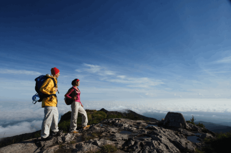 Insider Experiences Tailored Travel & Tours by World Express